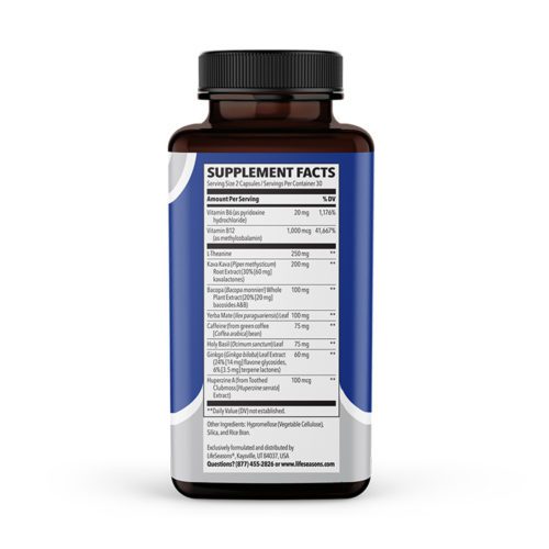 Focus-R Concentration Support - LifeSeasons