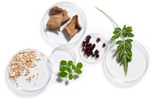 Ingredient Standards - LifeSeasons | Natural Health Supplements