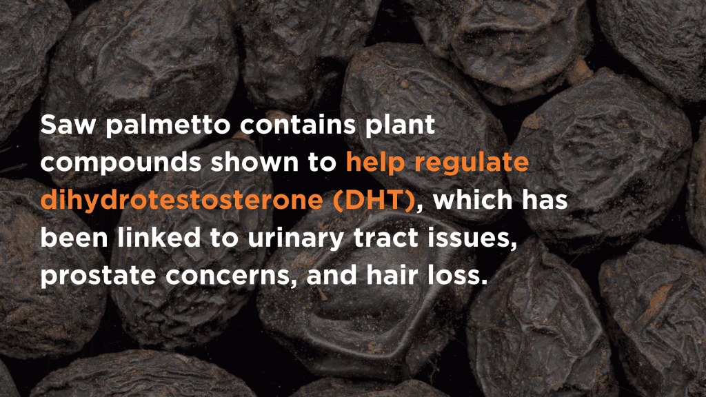 Prostate Keeping You Up at Night? Learn About the Best Prostate ...